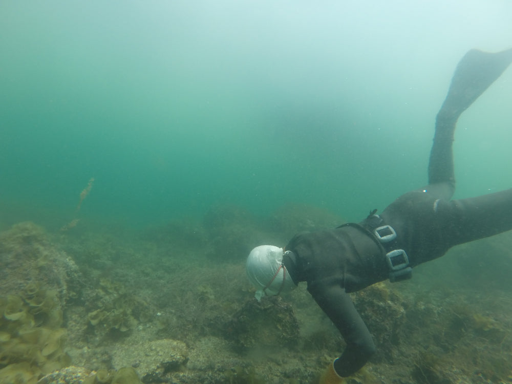 Freediving with the Ama in Japan (by Michelle)